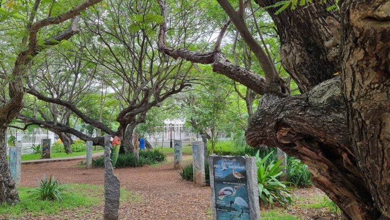 Things To Do In Pondicherry: Ultimate 5-Day Pondicherry Itinerary